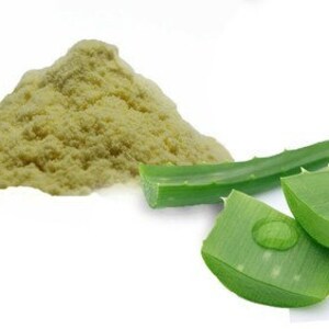 Aloe Vera Powder Aloe Barbadensis Aloevera Powder Natural - Etsy