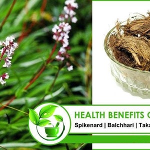 Organic Jatamansi Root, 100% Natural Jatamansi Powder, Nardus Root ...