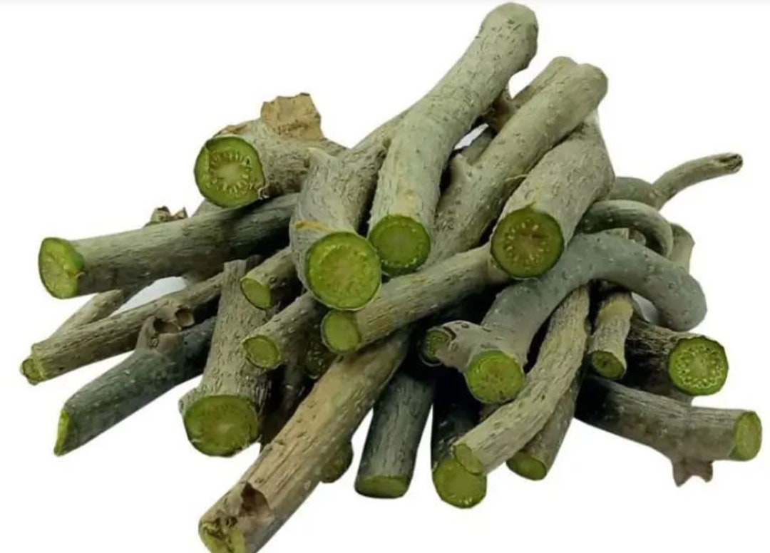 Organic Giloy Stem, Tinospora , Amrita, Tinospora Cordifolia, Giloy ...