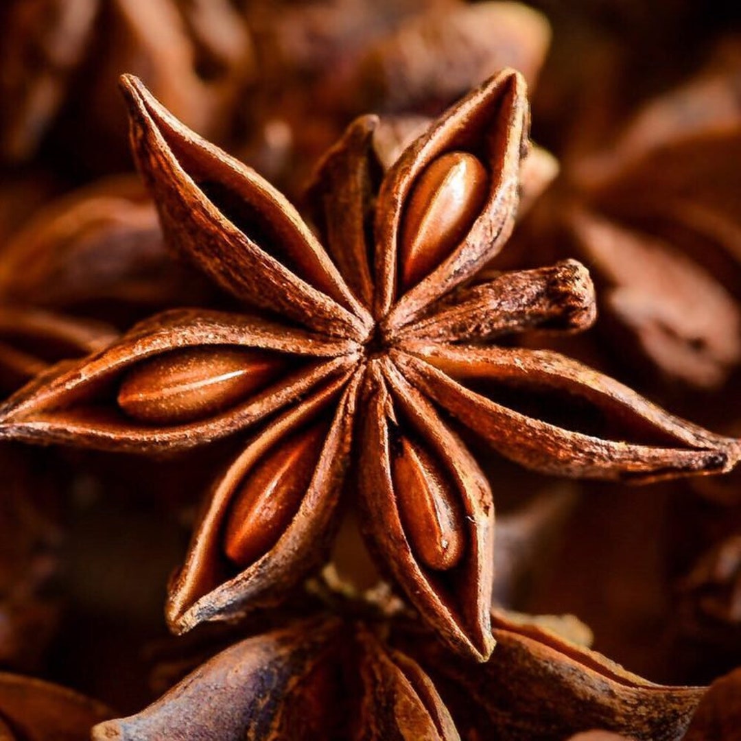 Organic Star Anise Autumn Star Illicium Verum Whole Star Etsy