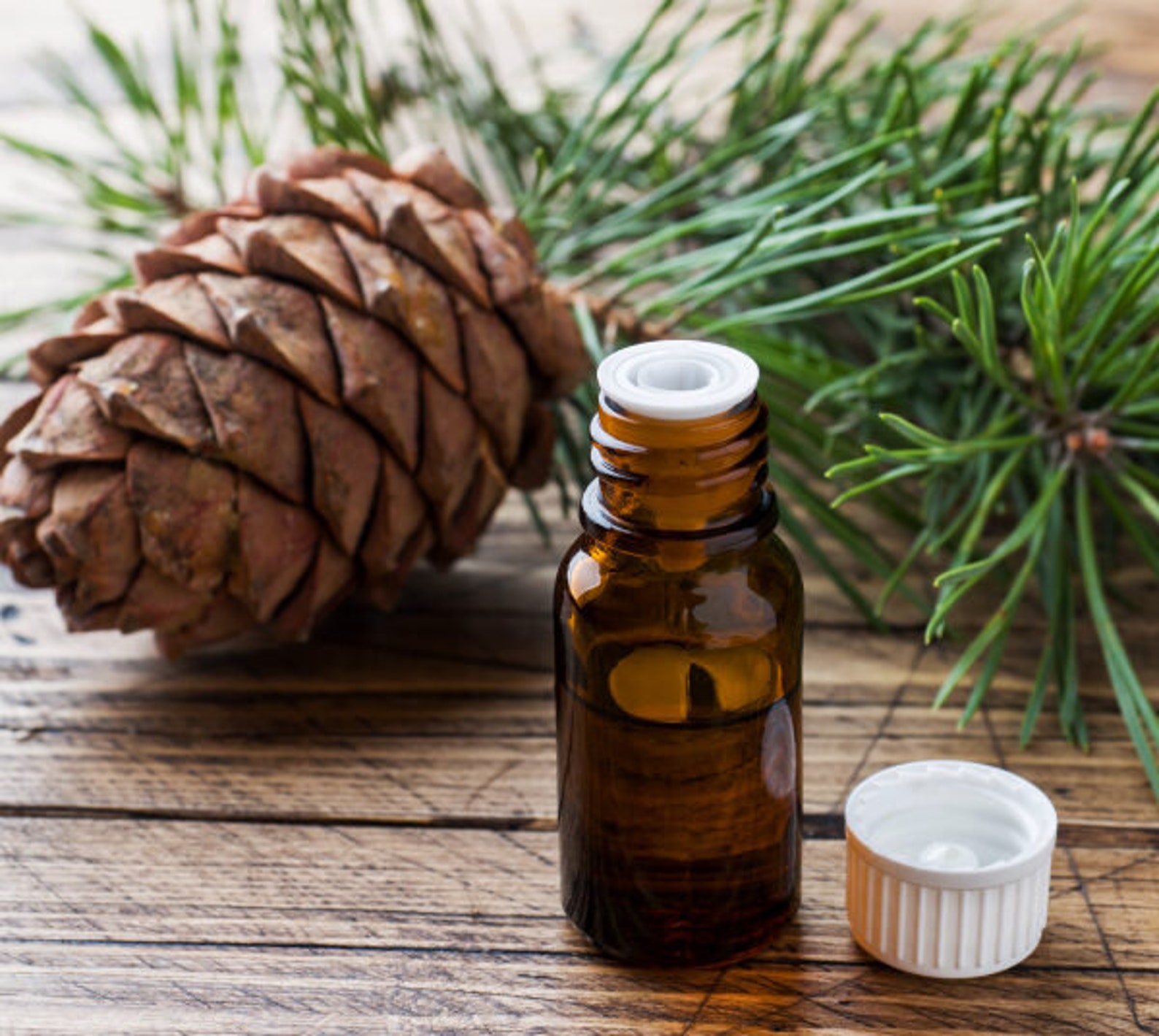 Cedar Essential Oil Cedarwood Oil Cedrus Atlantica Atlas - Etsy