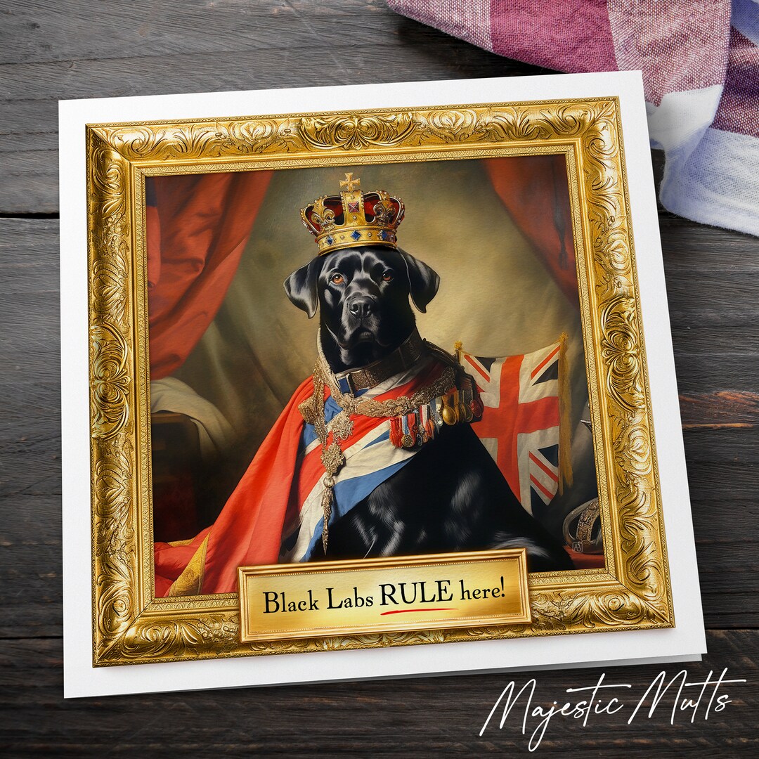 Labrador Card, Lab Card, Black Lab Poster, Birthday Card, Greeting Card ...