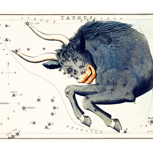Taurus Zodiac Print Wall Art Constellation Astrology | Etsy