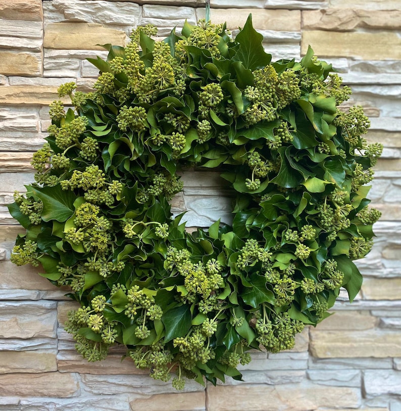 Frischer Efeukranz Türkranz Naturkranz Blätterkranz 40cm - Etsy.de
