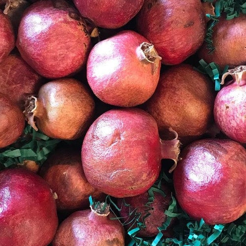 Organic Dried Pomegranates - Etsy