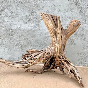 Manzanita Stump With Roots - Etsy