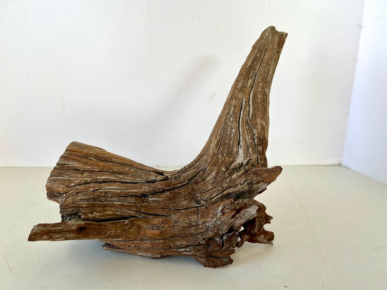 Manzanita Stump - Etsy