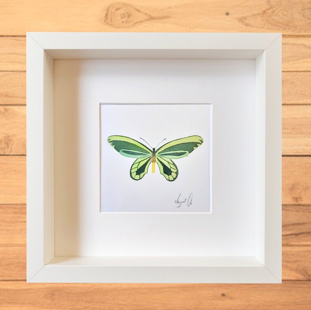 Botanical Insects, Botanical Watercolor Insects, Botanical Butterfly ...