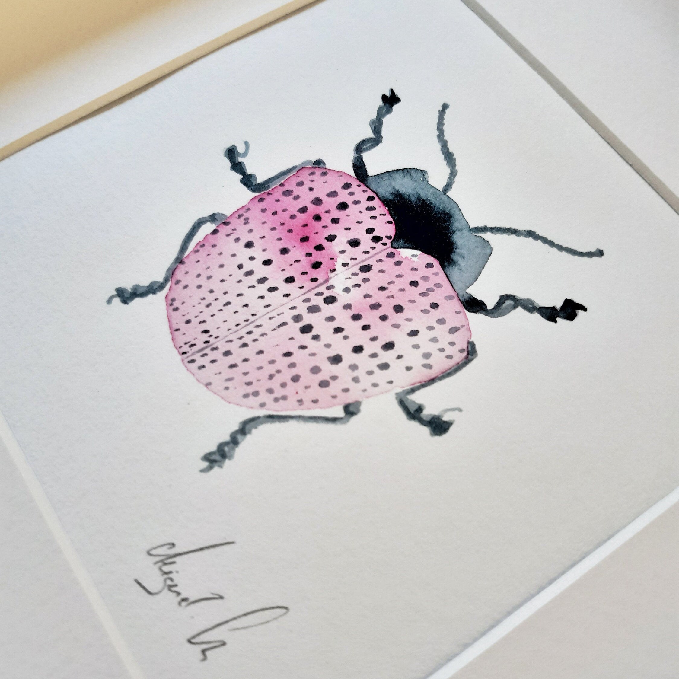 Pink Beetle Illustration Pink Watercolor Illustration - Etsy