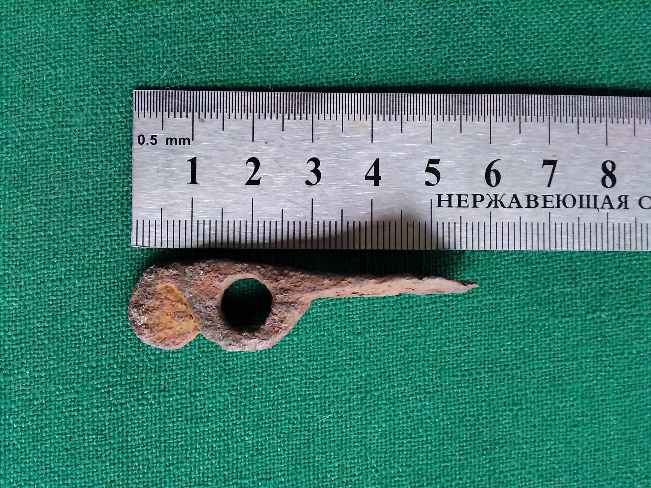 Scythian Horse Forehead Griffin Beak Scythians 6-4 Centuries - Etsy