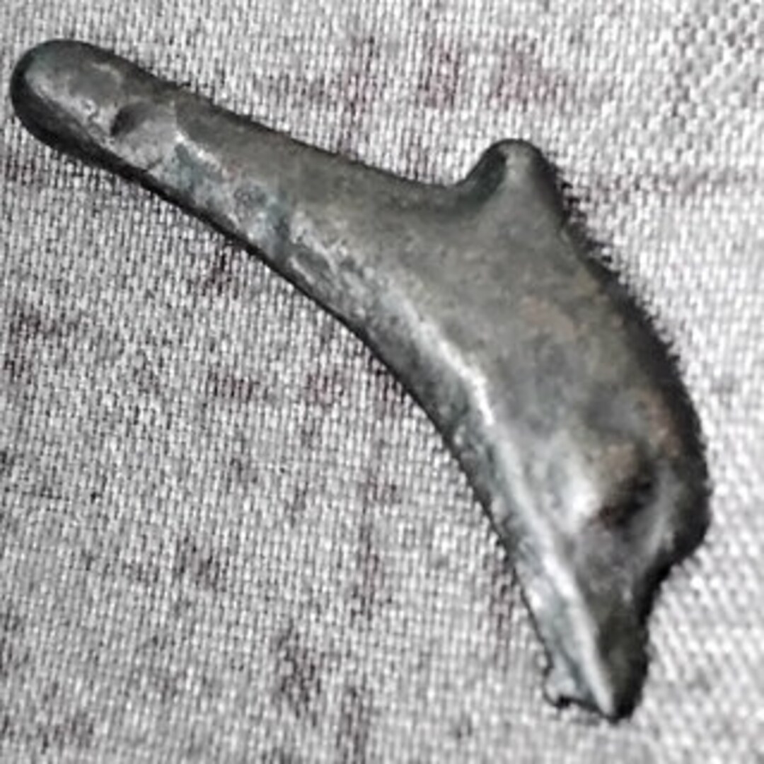 Ancient Greek Coin Dolphin Olbia 600-400 Cent. B.C. - Etsy