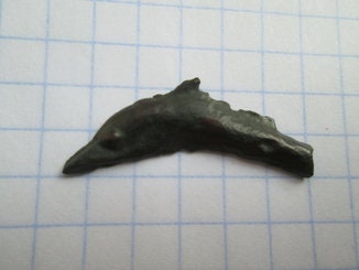 Ancient Greek Coin Dolphin Olbia 600-400 Cent. B.C. With an Inscription ...