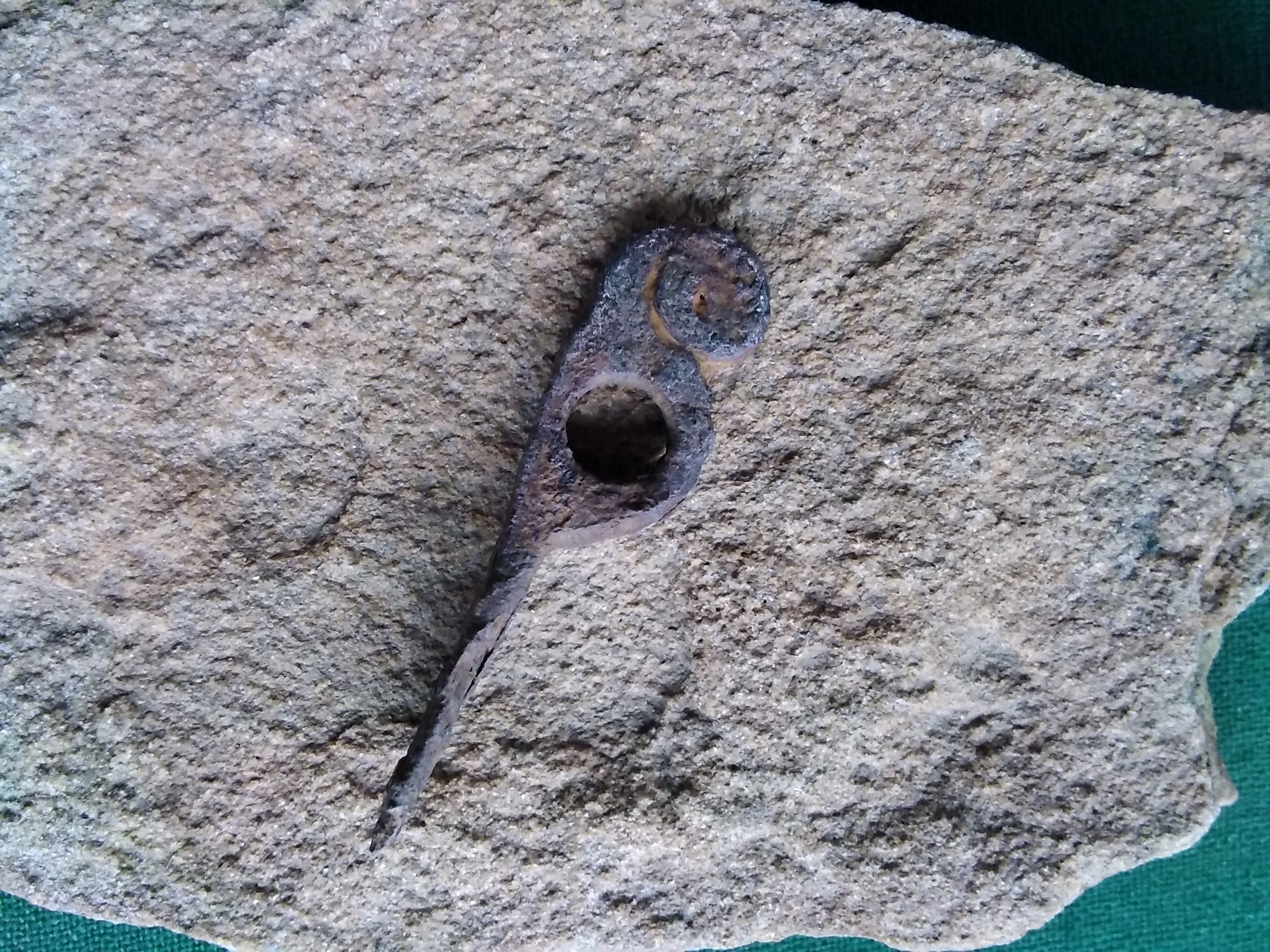 Scythian Horse Forehead Griffin Beak Scythians 6-4 Centuries - Etsy