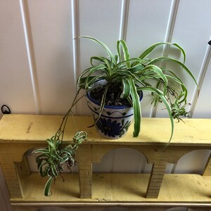 Indian Reclaimed Shelf, Arch Shelves Temple Shelf, Hand Painted Shelf ...