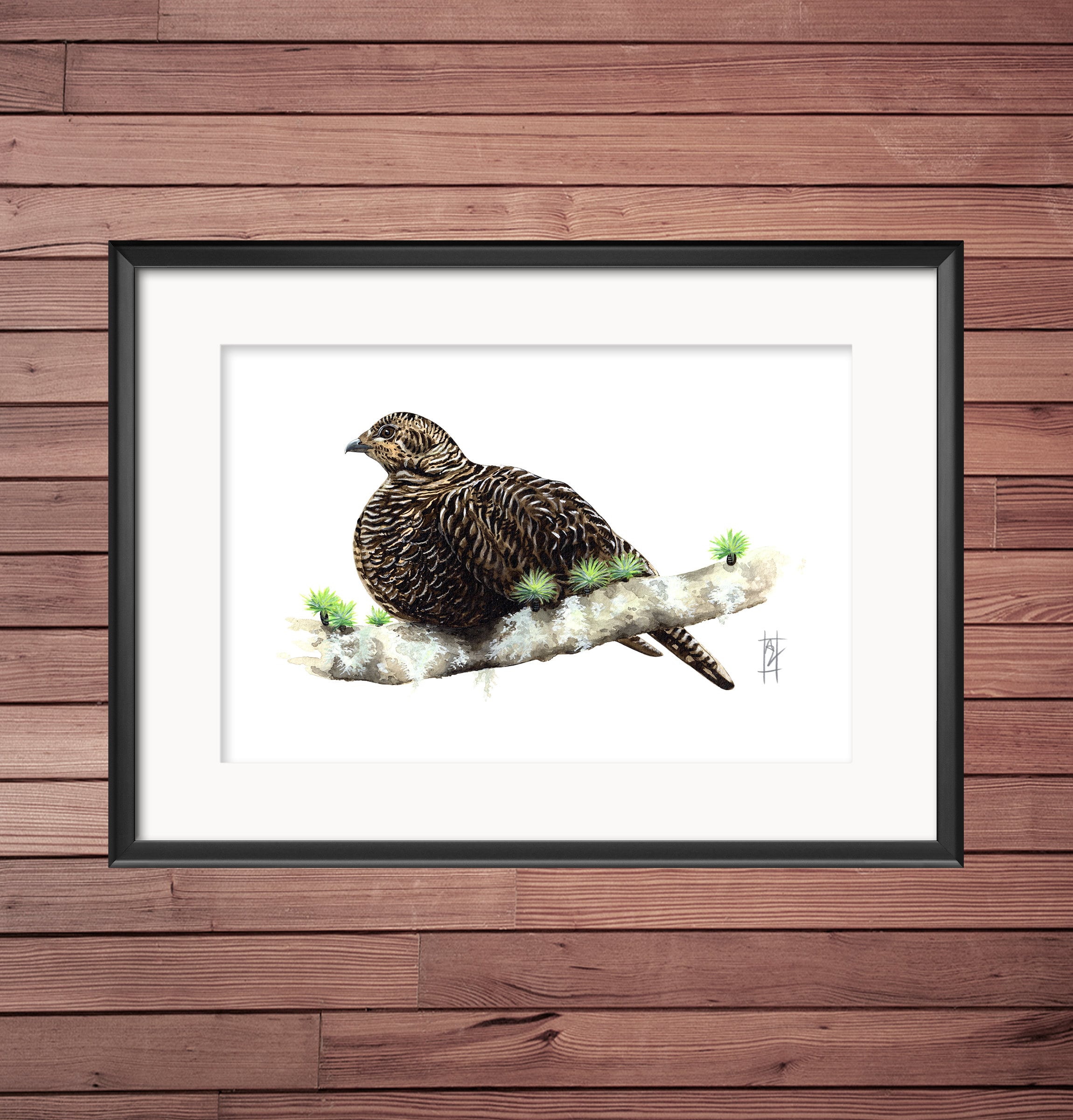 Female black grouse art print painting bird art | Etsy