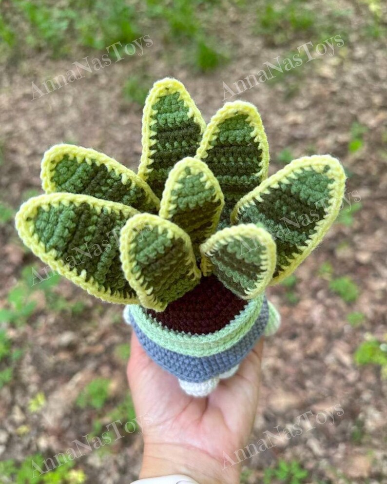 Gnome Succulent (sansevieria), Amigurumi Pattern, Crochet PDF Pattern ...