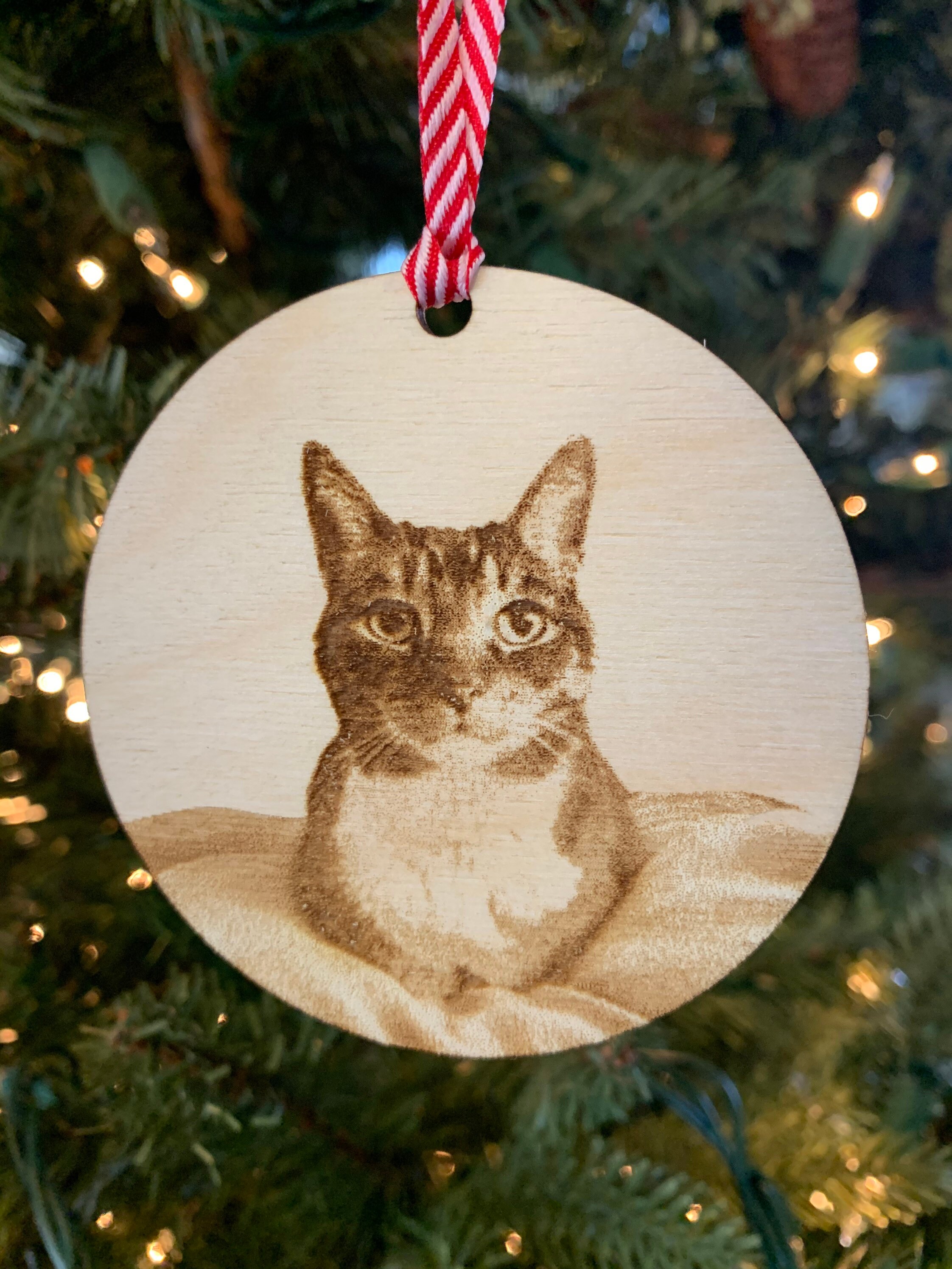 Ornaments & Accents Christmas Trees First Fur-Ever Personalized ...