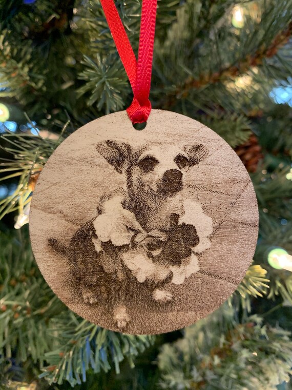 Ornaments & Accents Christmas Trees First Fur-Ever Personalized ...