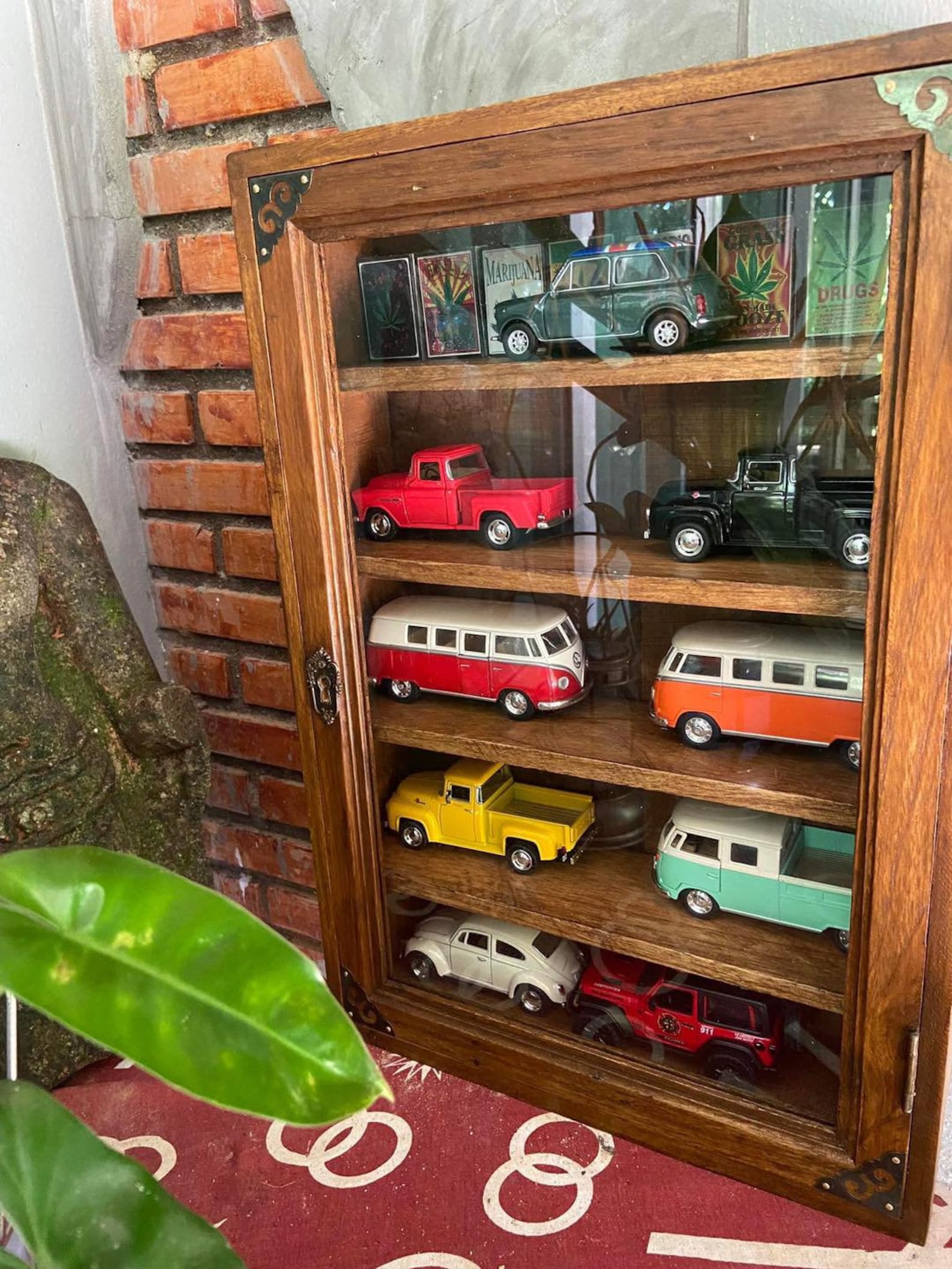 Small Wall Curio Cabinet 1 Door 5 Shelves Glass Display Case Hung on ...