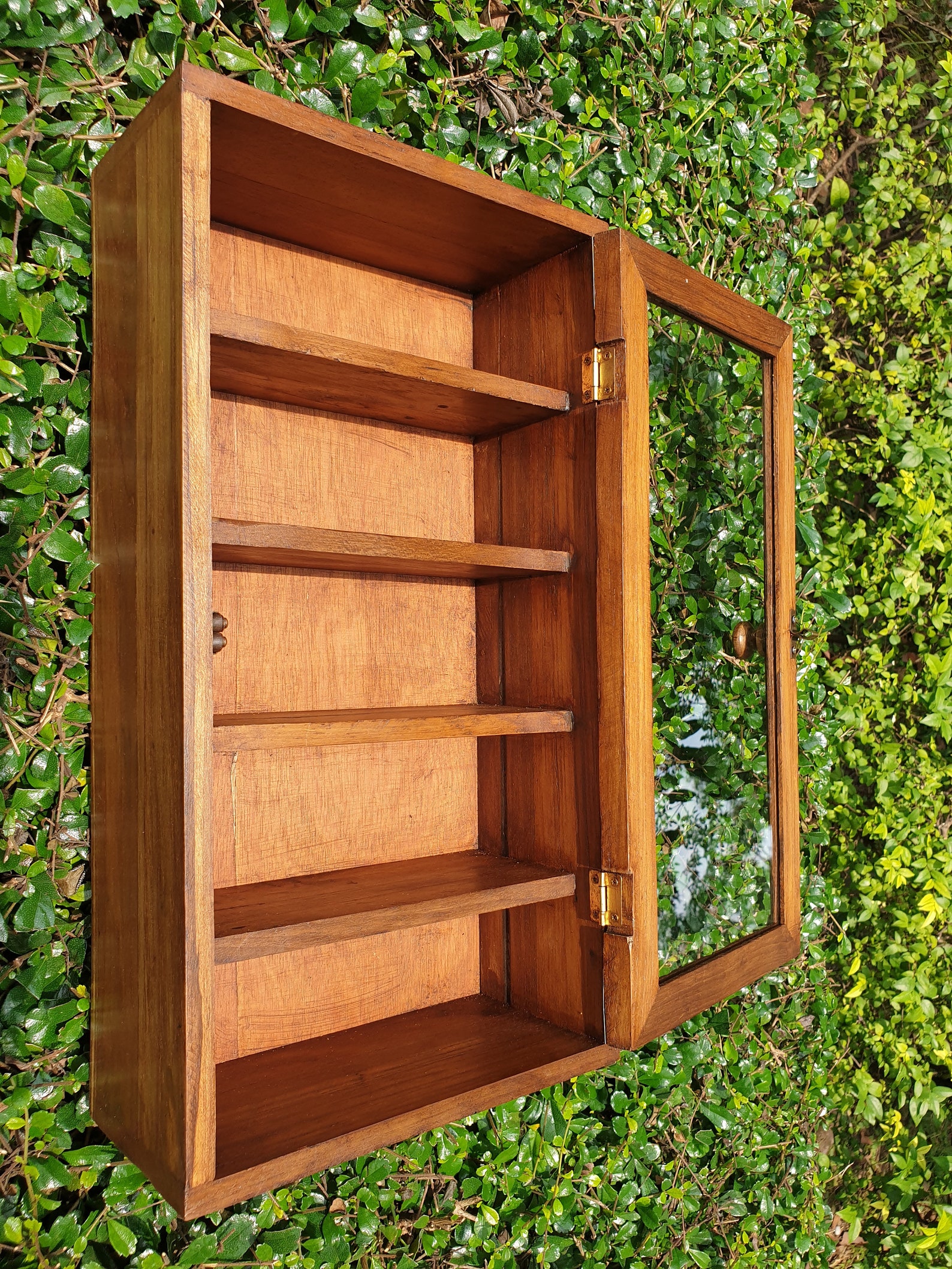 Small Wall Curio Cabinet 1 Door 5 Shelves Glass Display Case | Etsy