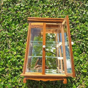 Small Curio Cabinet Style A & Glassed Display Cabinet Case Small ...