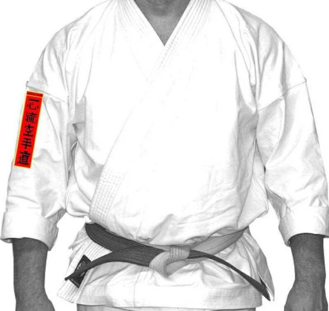 Isshinryu Karate Patches Rectangulaire Martial Arts Patches | Etsy