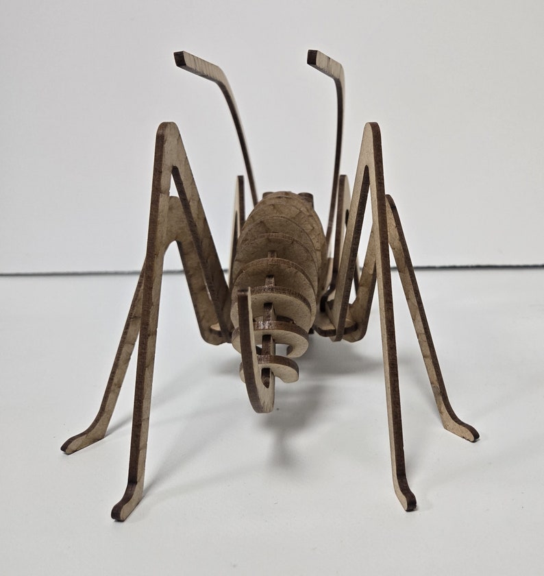 3D Grasshopper Puzzle. Wooden. Figure Kit. Model Kit. Arts & Crafts ...