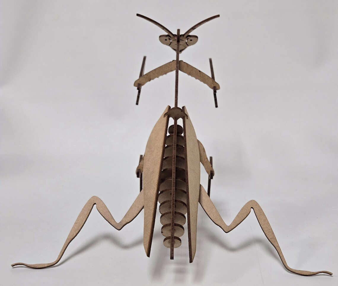 3D Praying Mantis Puzzle. Wooden. Figure Kit. Model Kit. Arts & Crafts ...