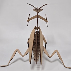 3D Praying Mantis Puzzle. Wooden. Figure Kit. Model Kit. Arts & Crafts ...