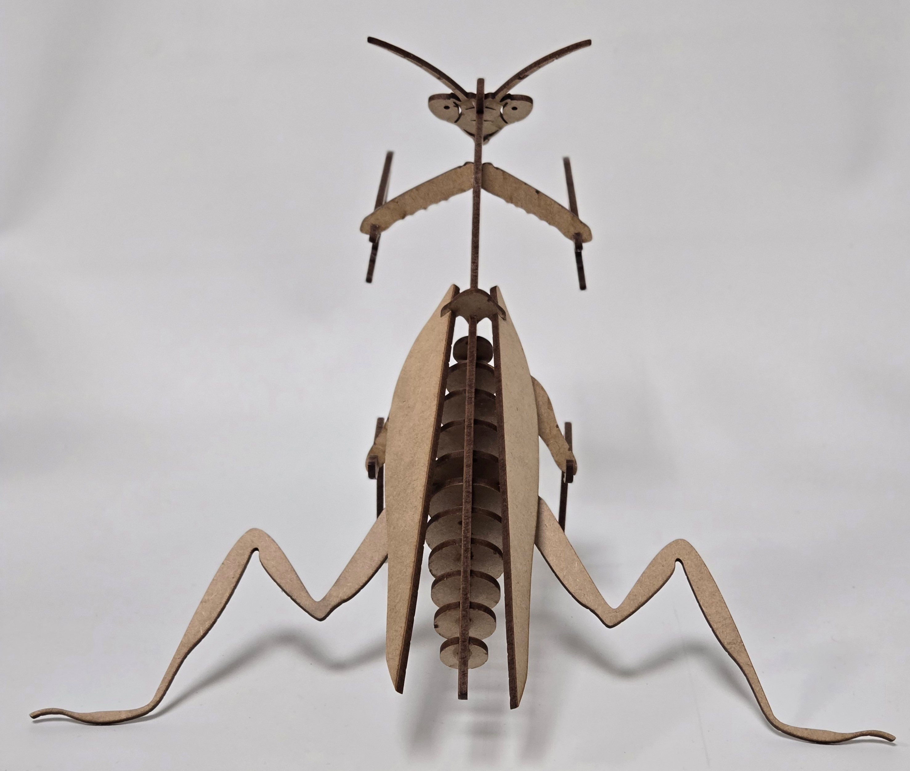 3D Praying Mantis Puzzle. Wooden. Figure Kit. Model Kit. Arts & Crafts ...