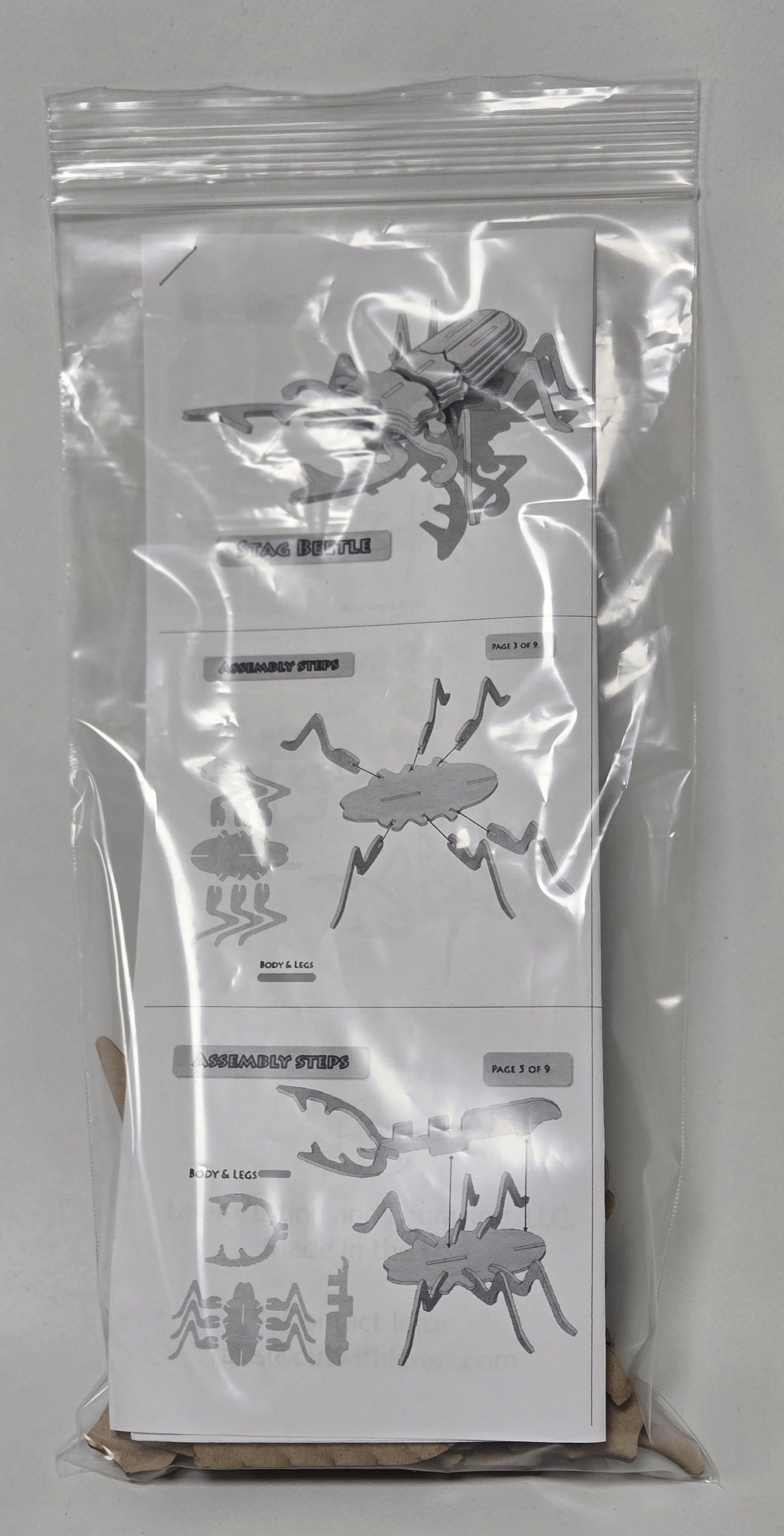 3D Stag Beetle Puzzle. Wooden. Figure Kit. Model Kit. Arts & Crafts ...