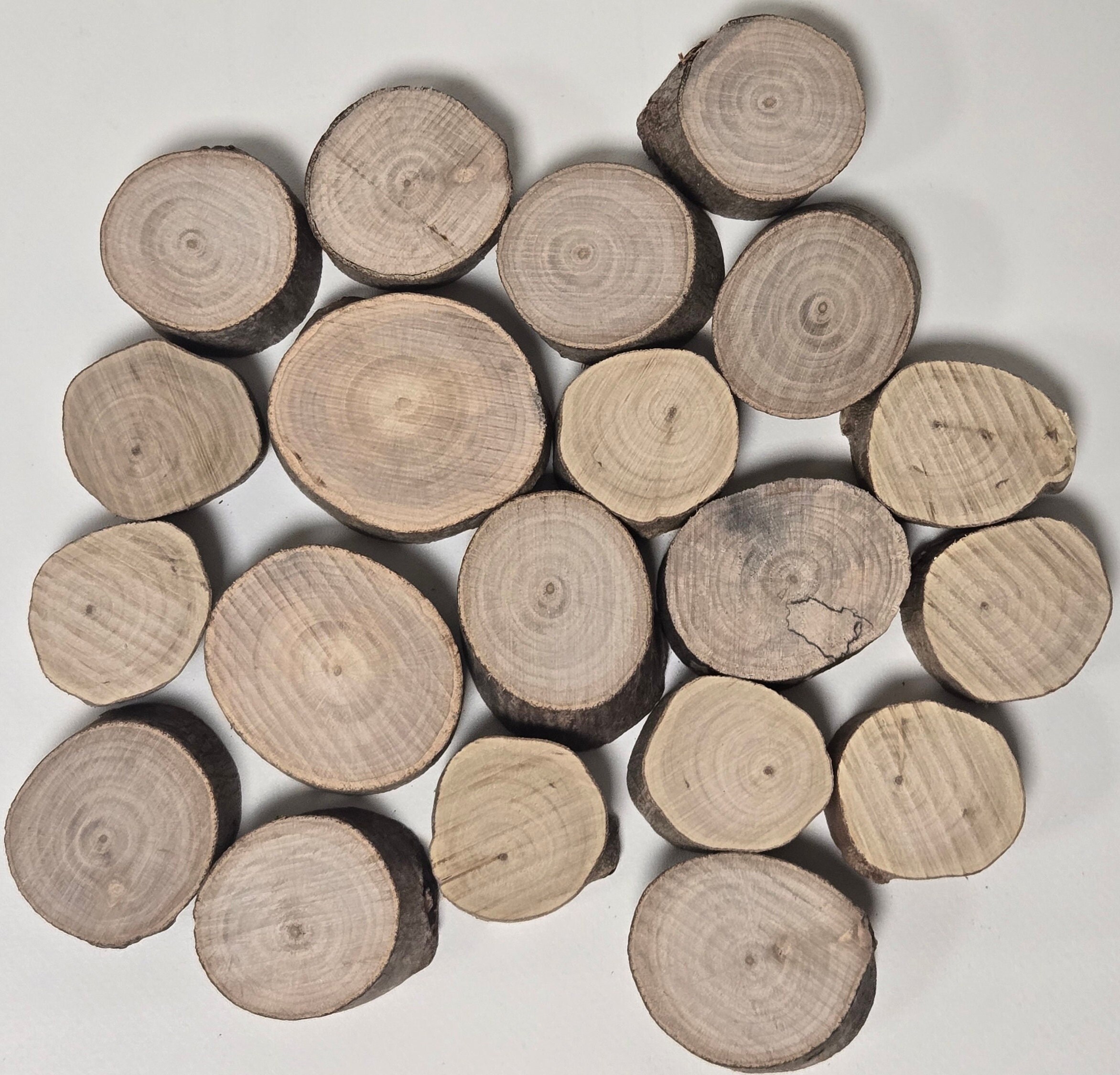 Bag of Hardwood Craft Slices Rustic Craft DIY Ornaments Round Disc - Etsy