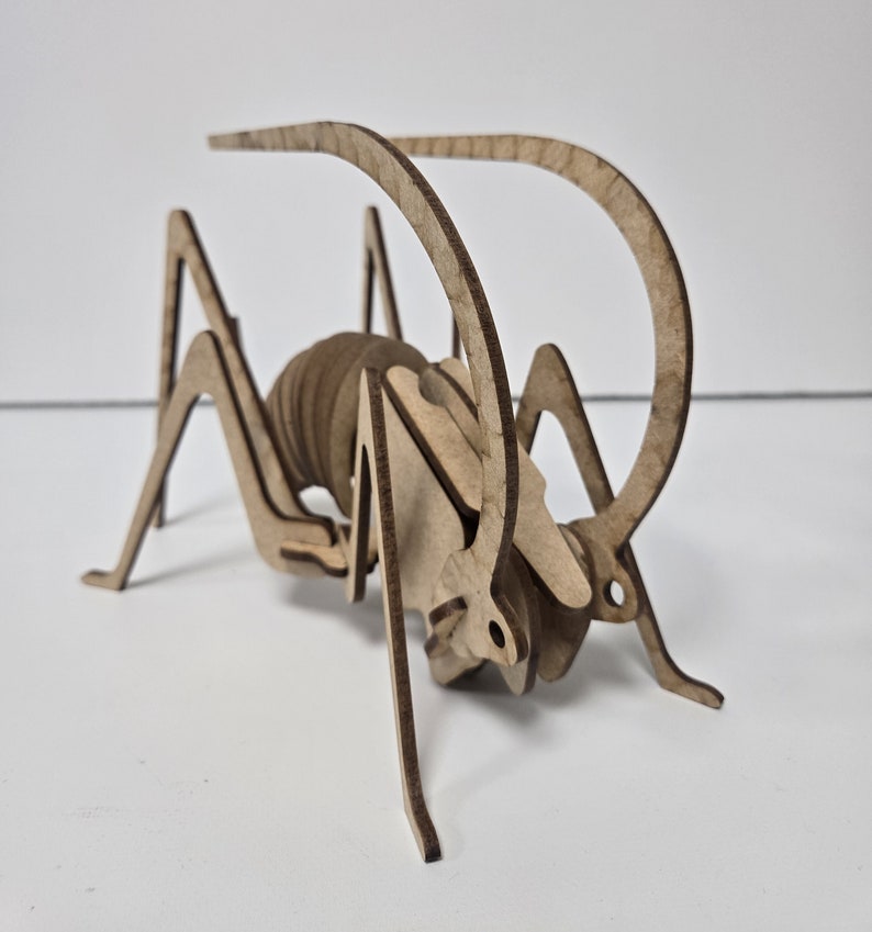 3D Grasshopper Puzzle. Wooden. Figure Kit. Model Kit. Arts & Crafts ...