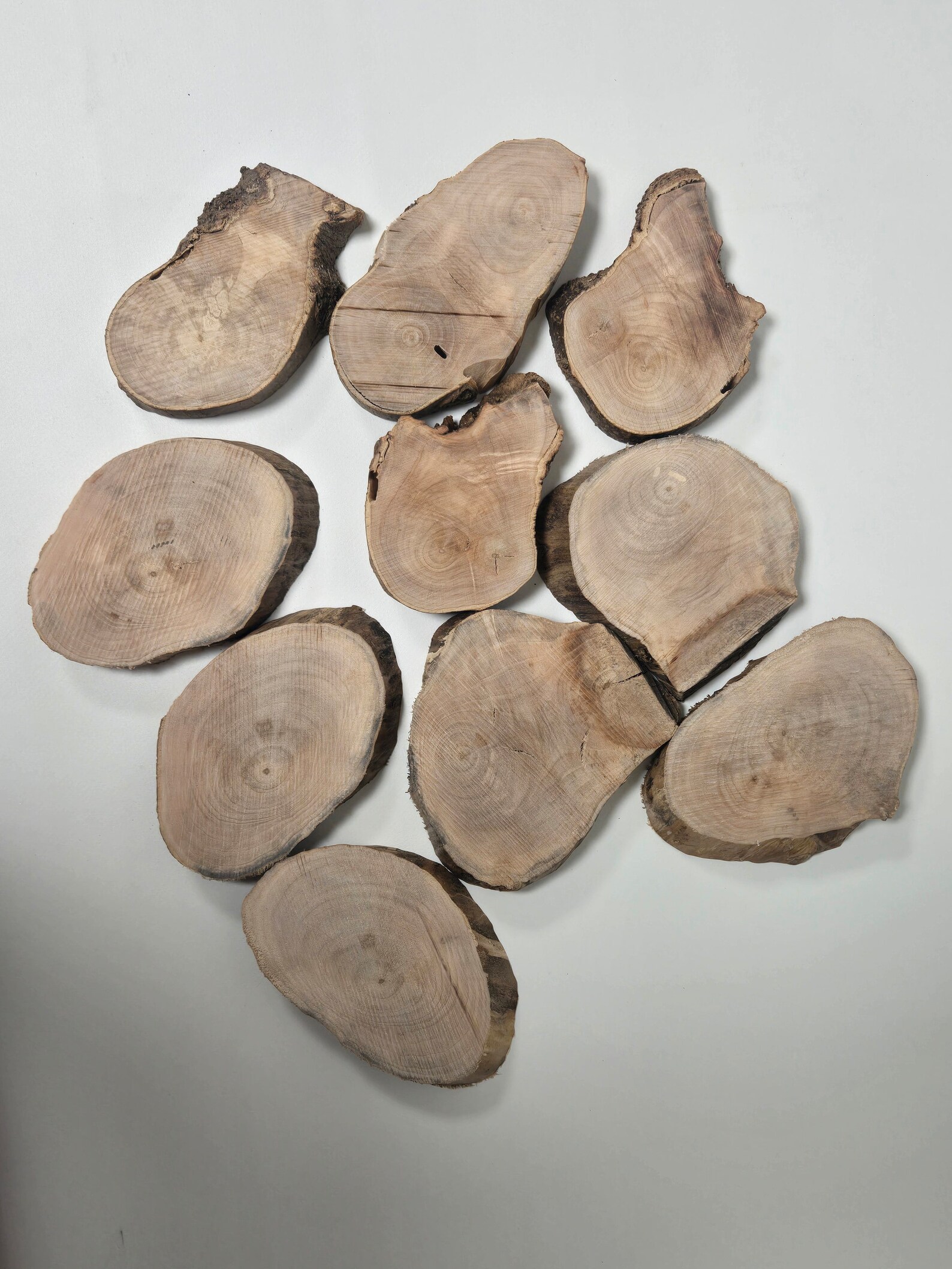 Bag of Hardwood Craft Slices Rustic Craft DIY Ornaments Round Disc - Etsy