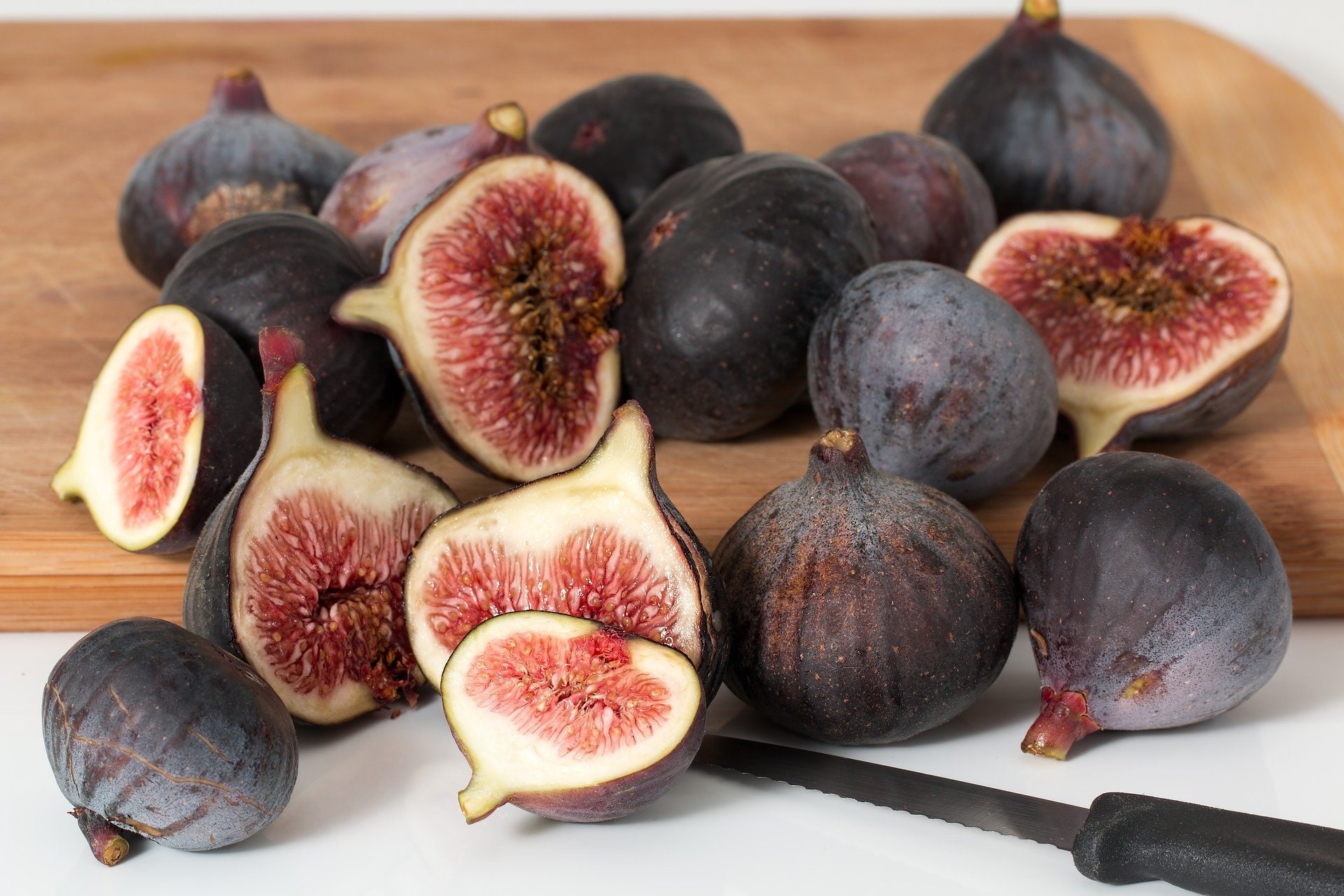 Red Fig Tree