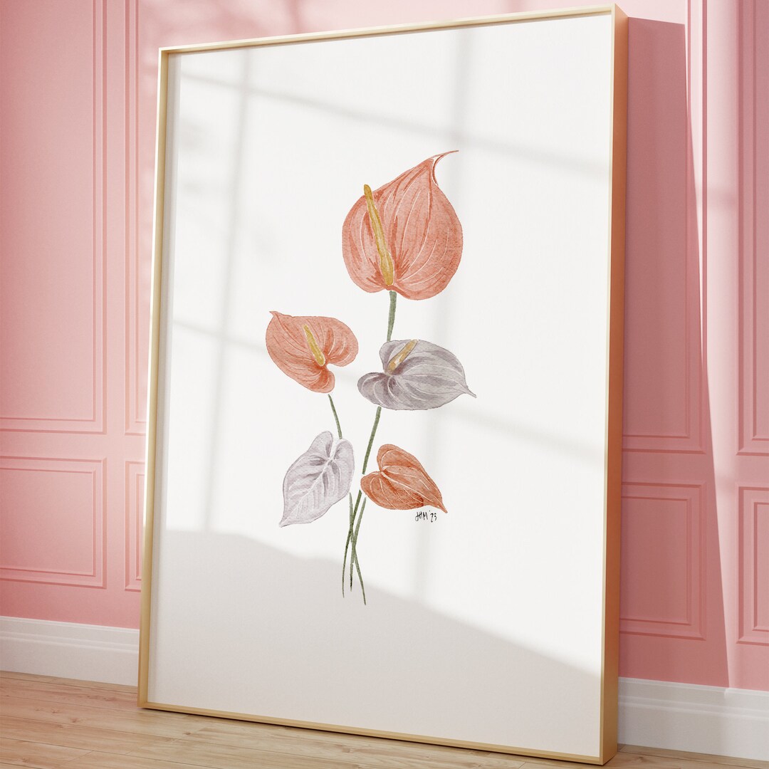 Pink Anthurium | Digital Download | Floral | Flower | Garden ...