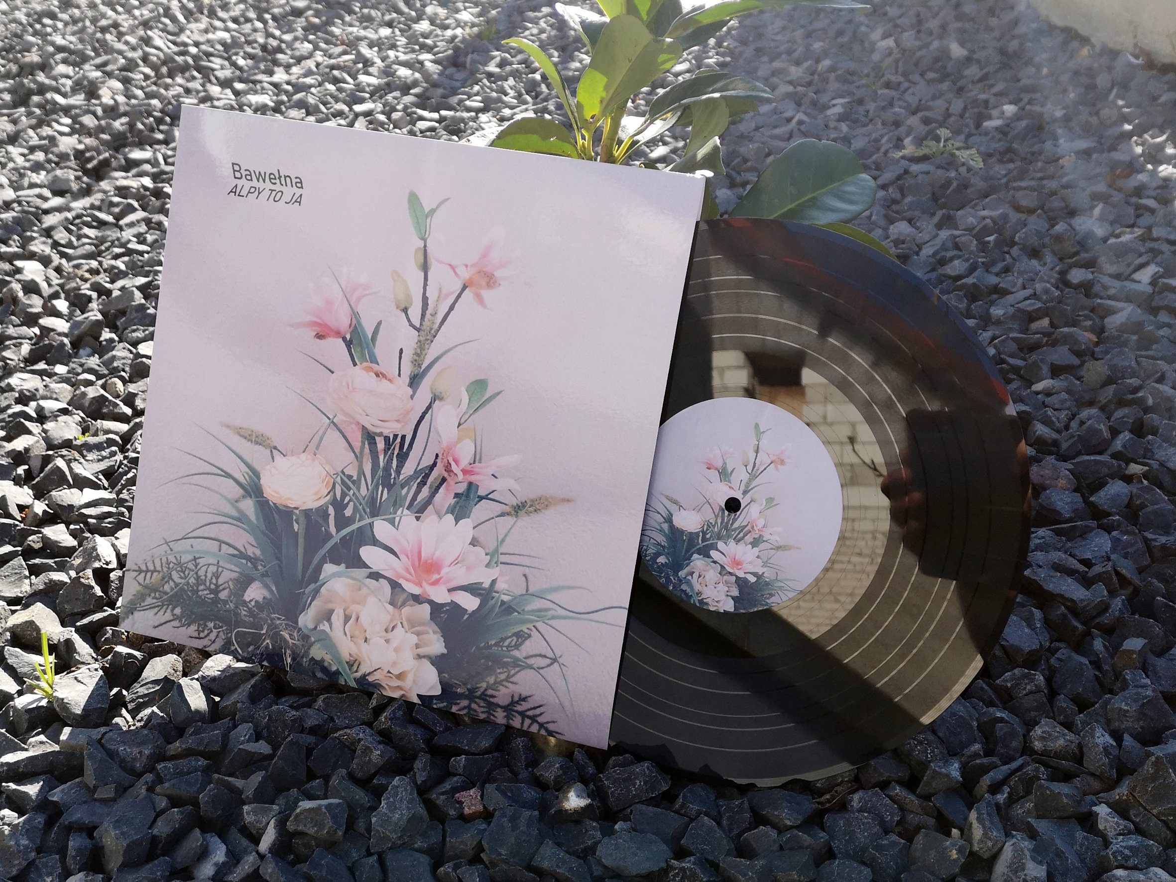 Custom Vinyl Record Mixtape With Printed Cover: Personalized Music Gift ...