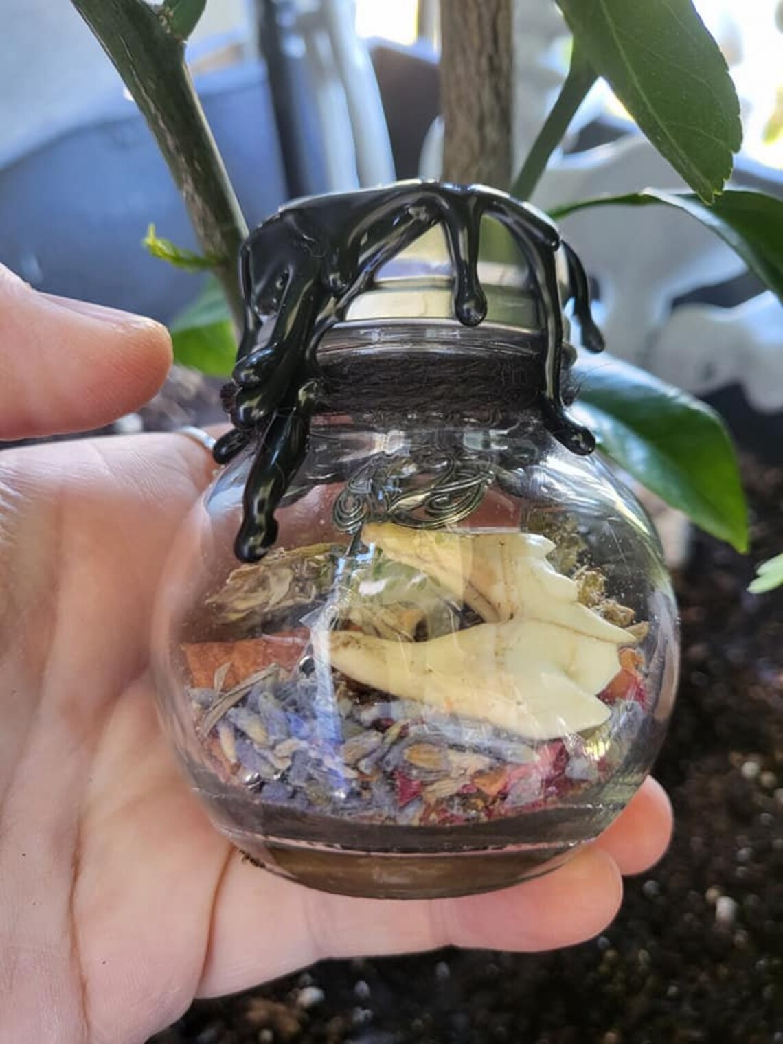 Hekate/ Hecate Offering Bottle - Blessed by the Goddess - Witchcraft ...