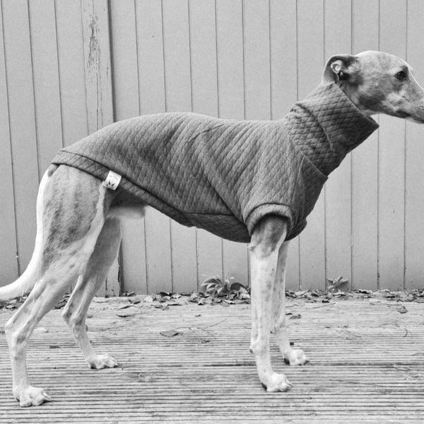 Whippet - Etsy