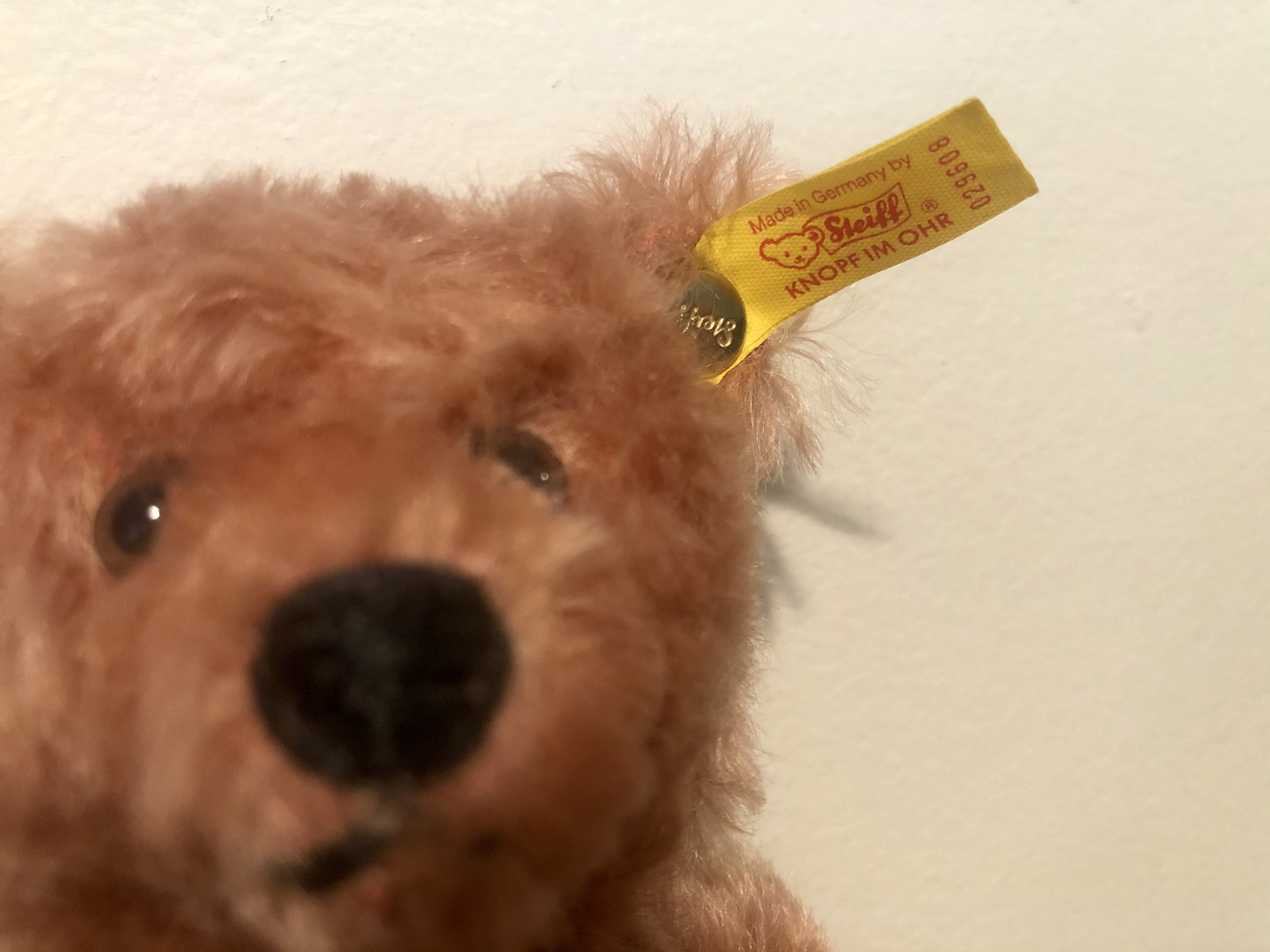 Steiff Rosewood Compass Bear - Etsy