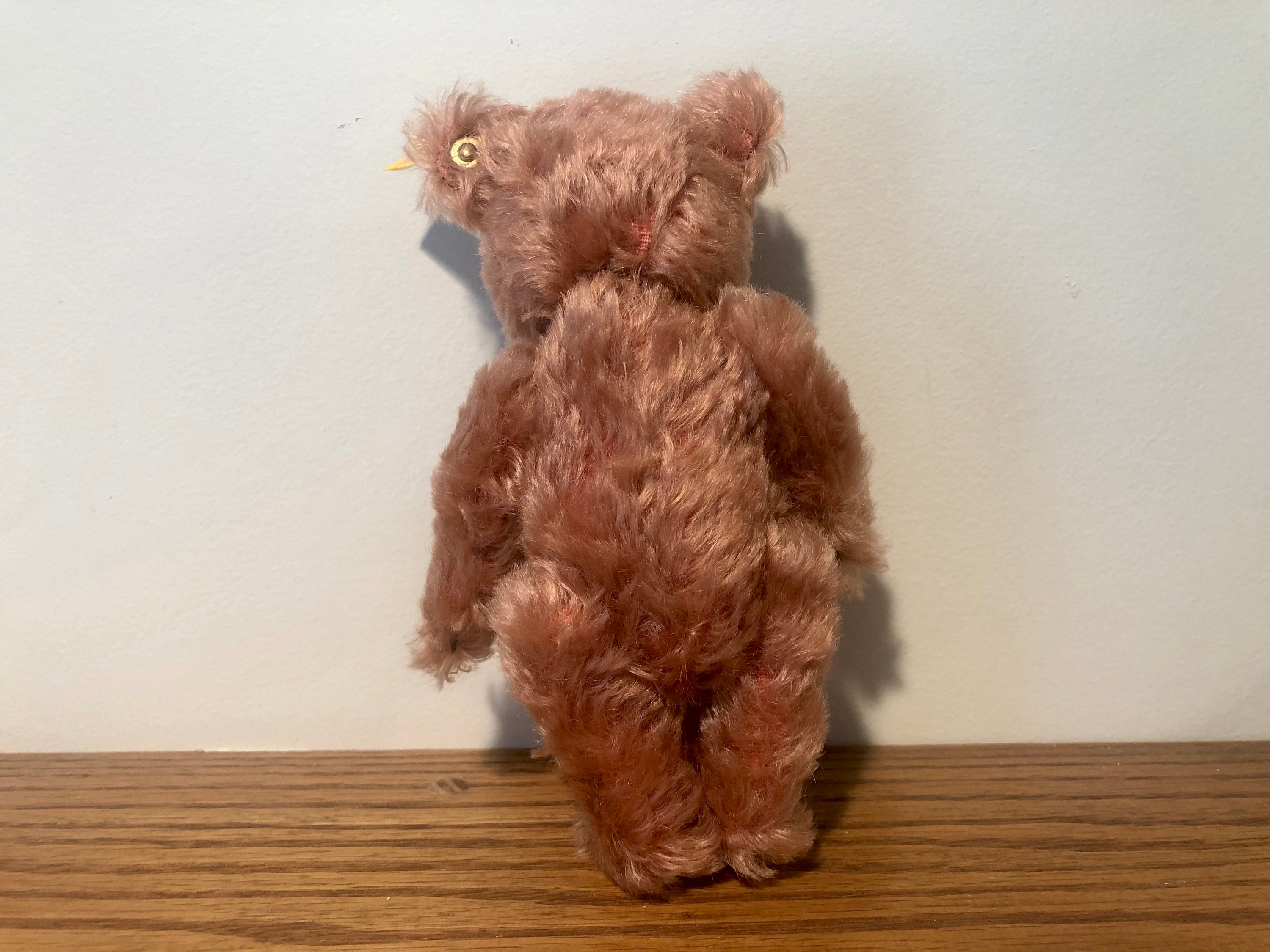 Steiff Rosewood Compass Bear - Etsy