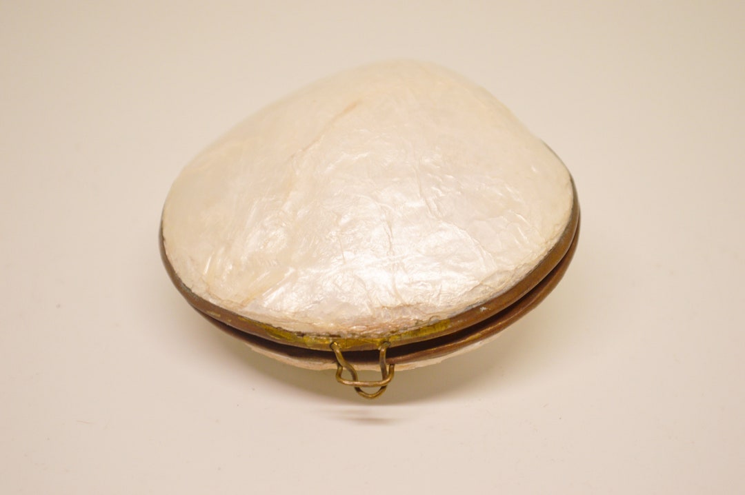 Antique Mother of Pearl Clam Shell Coin Purse Pill Box Trinket Box - Etsy