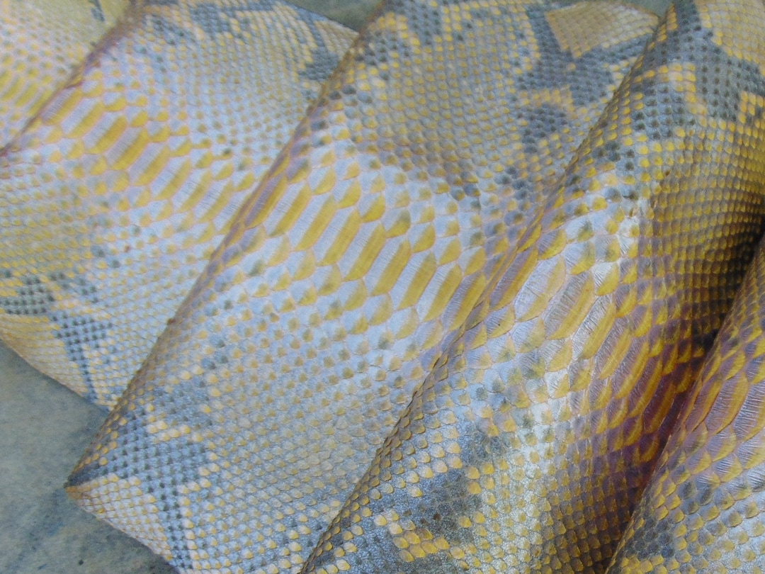 118 Inch Genuine Python Snake Skin Hide Real Leather Make Bags Jackets ...