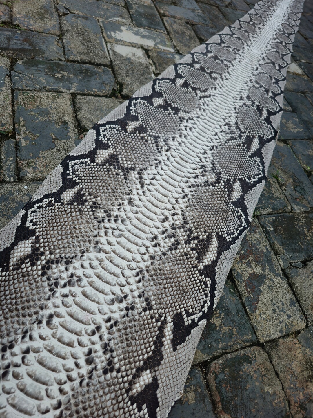 133 Inch Genuine Python Snake Skin Hide Real Leather Make Bags Jackets ...