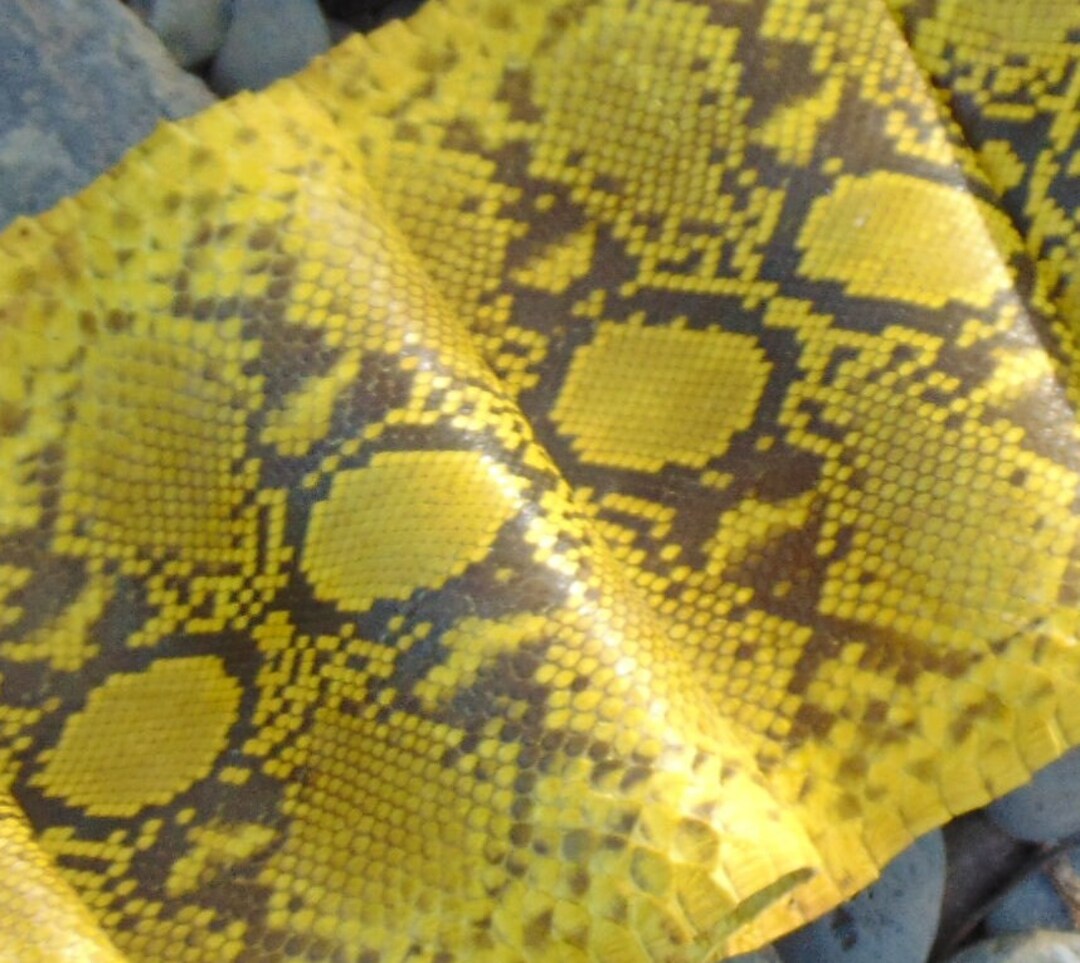 82 Inch Genuine Python Snake Skin Hide Real Leather Make Bags Jackets ...