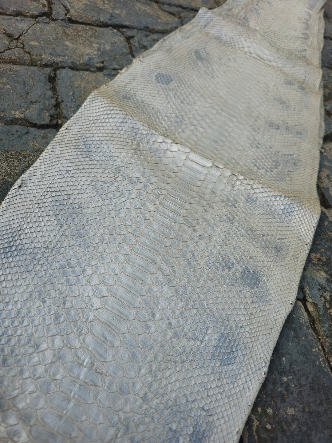 54 Inch Genuine Python Snake Skin Hide Real Leather Make Bags Jackets Ect. Real Snakeskin ...