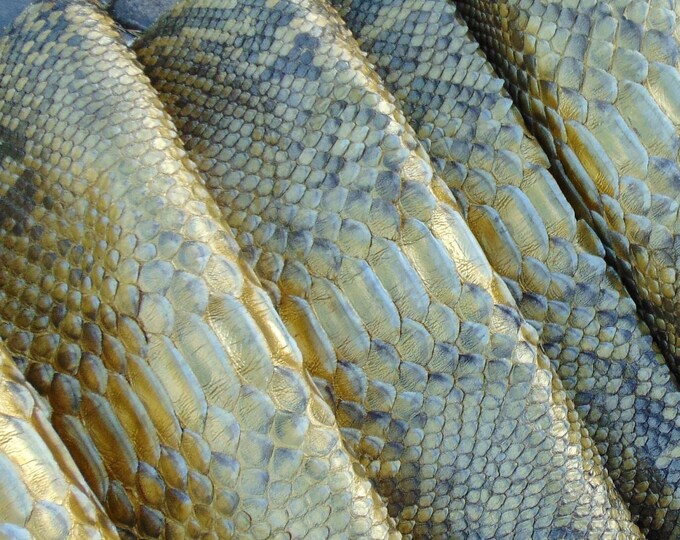 152 Inch Genuine Python Snake Skin Hide Real Leather Make Bags Jackets ...