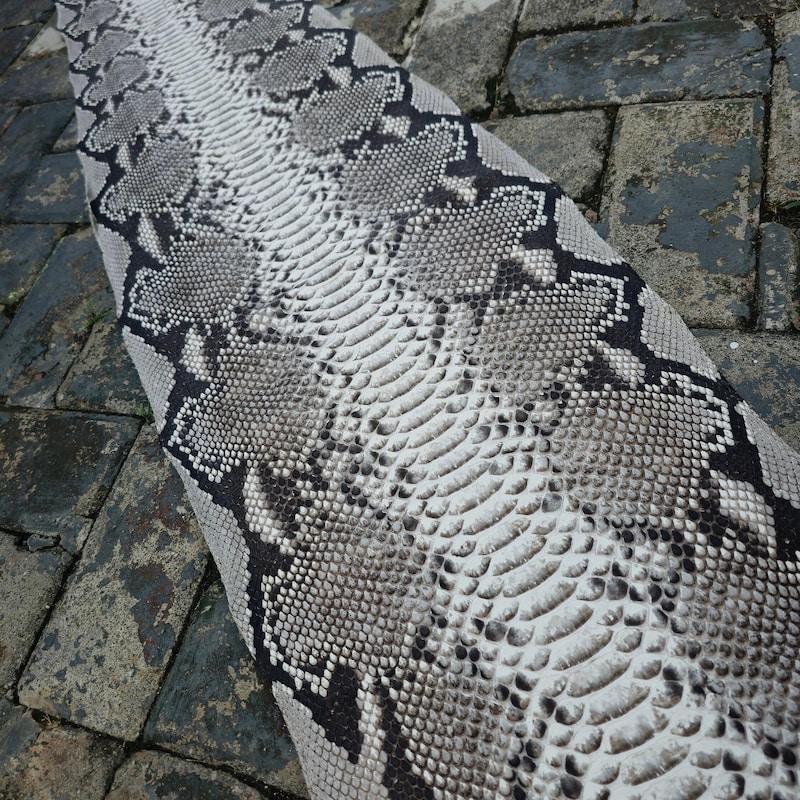 Real Snake Skin - Etsy