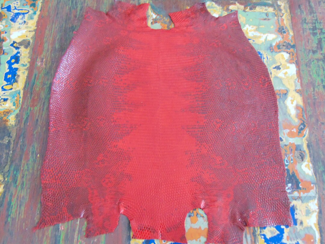 10 /9 Inch Genuine Lizard Skin Hide Real Leather Real Lizard - Etsy