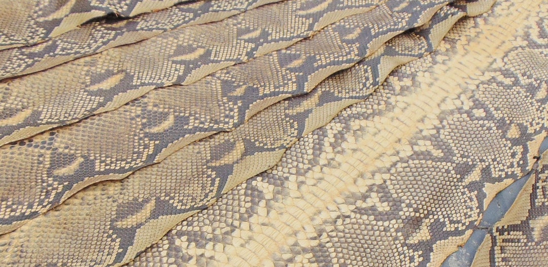 136 Inch Genuine Python Snake Skin Hide Real Leather Make Bags Jackets ...